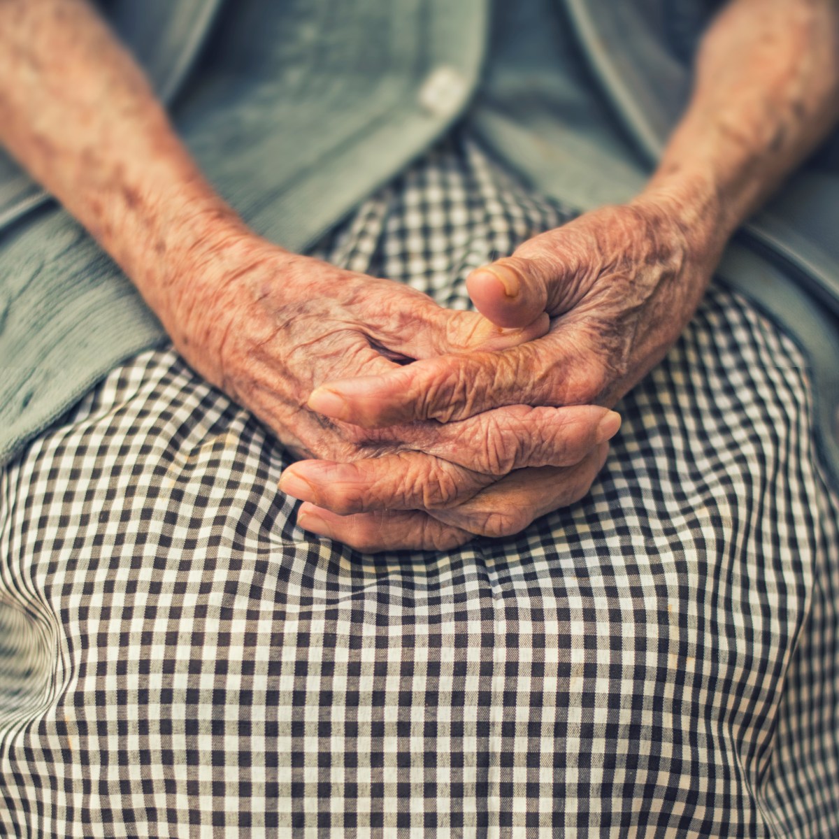 Renew – Amy Linnea